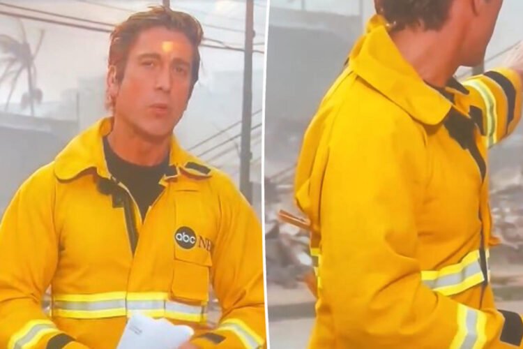 David Muir: Biography, Age, Education, Career, Achievements, Personal Life